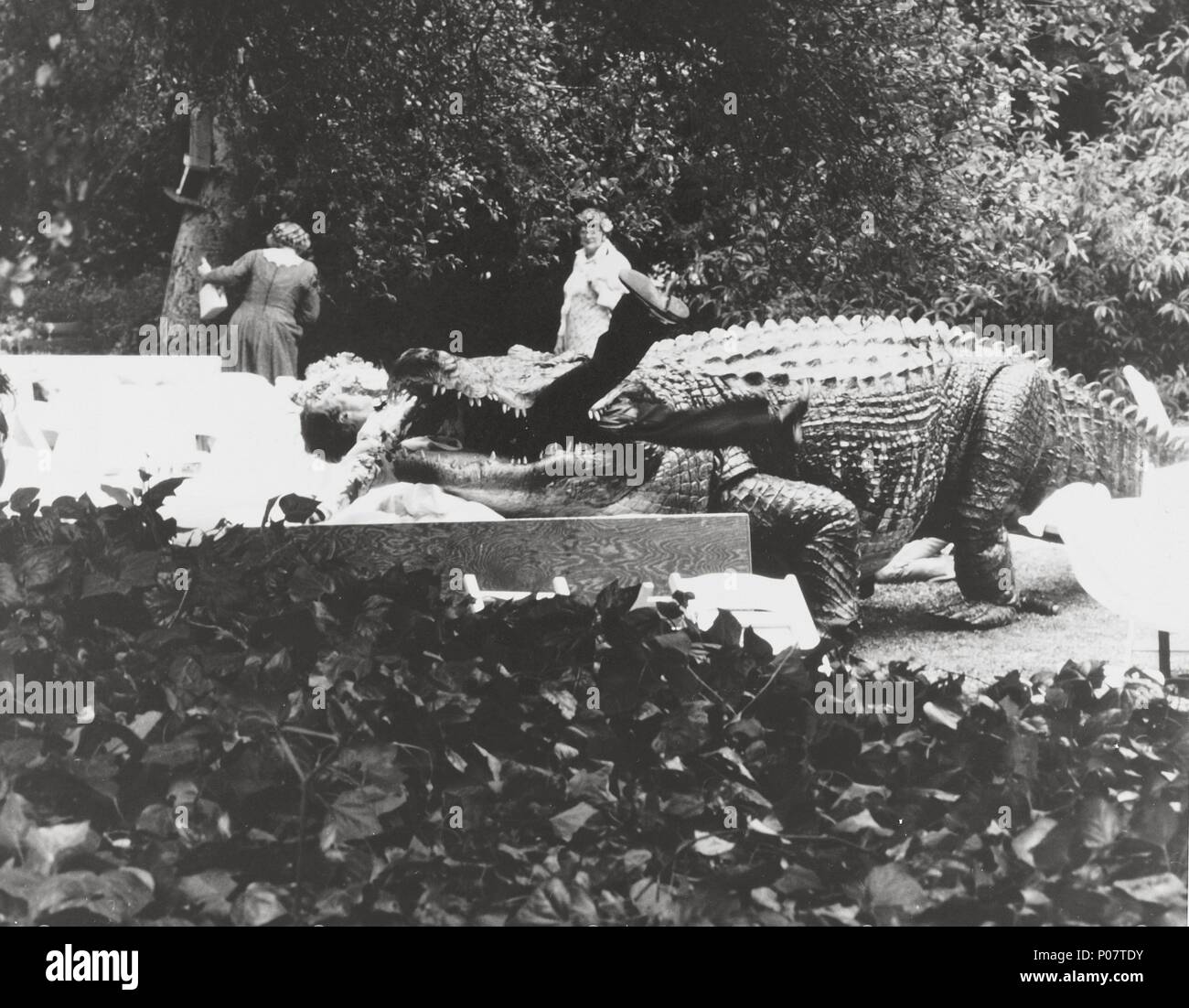 Original Film Title: ALLIGATOR. English Title: ALLIGATOR. Film Director ...