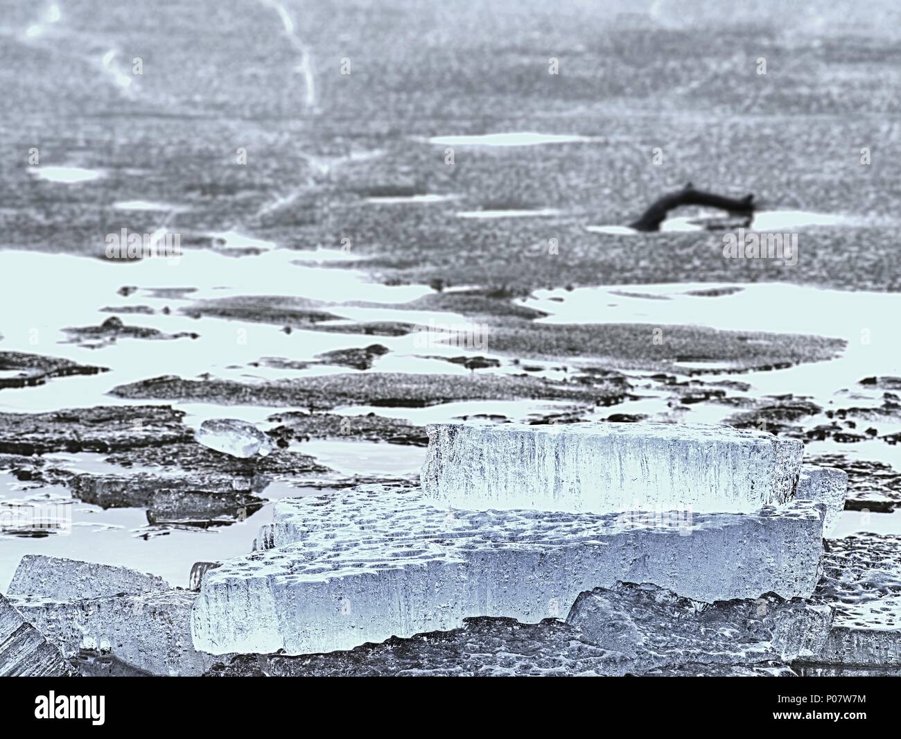 Blue ice floe on dark grey or black ice of sand beach. Strong wind ...