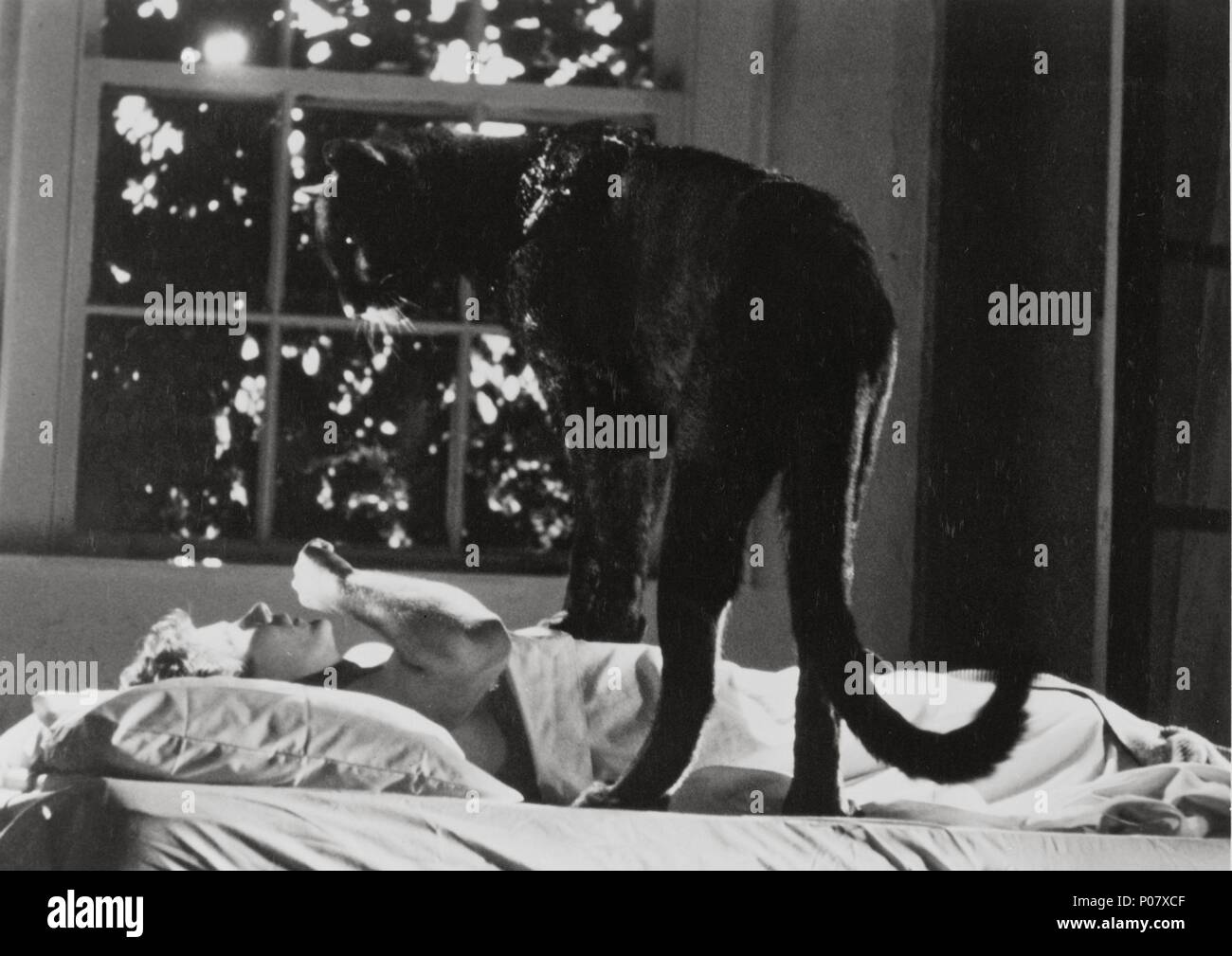 Original Film Title: CAT PEOPLE. English Title: CAT PEOPLE. Film ...