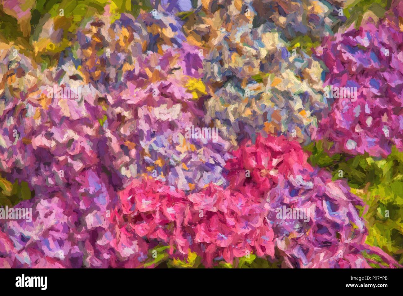 Digital art painting of an original photo of beautiful hydrangea ...