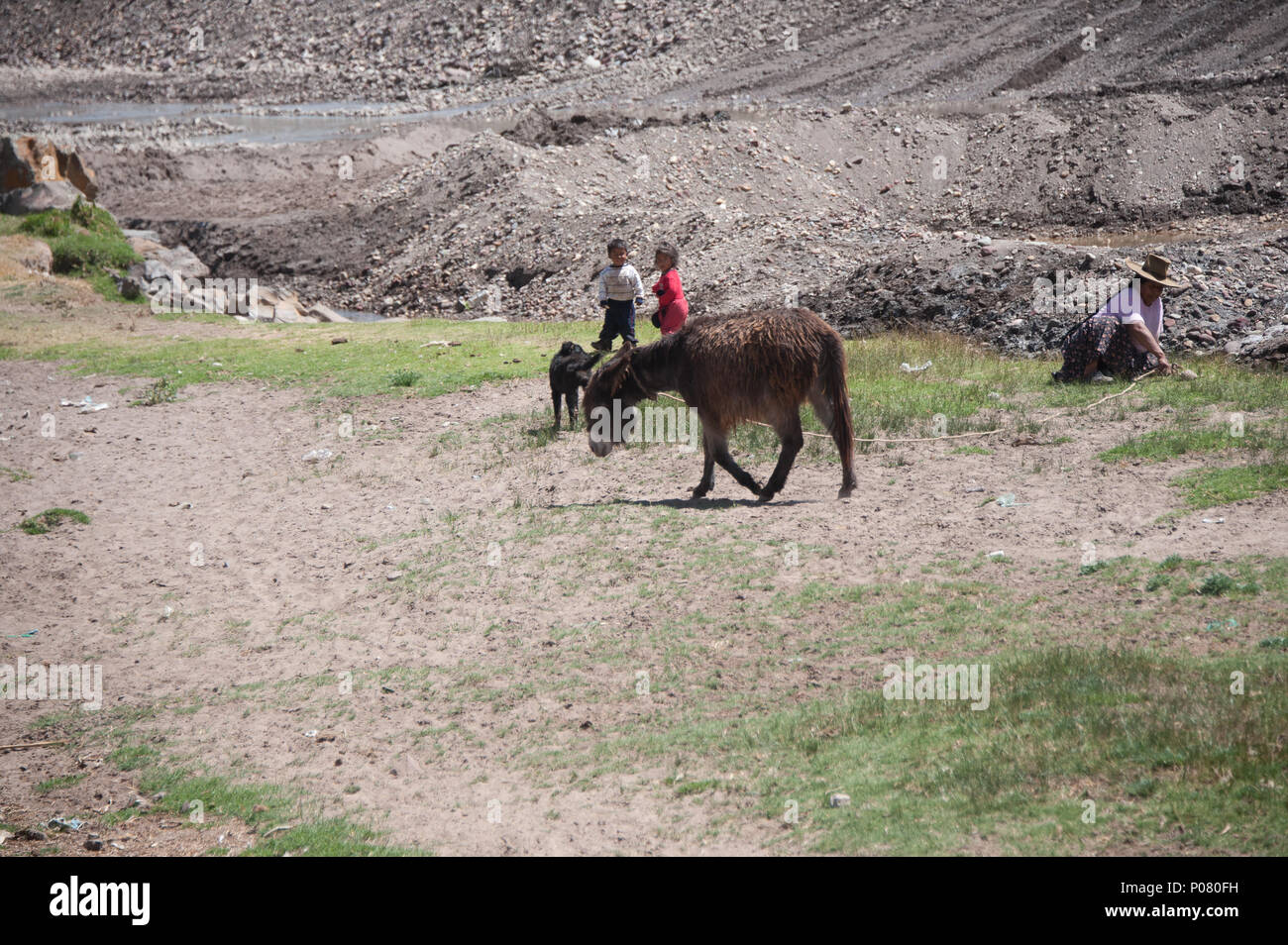 A journey on Peru Rail Stock Photo - Alamy