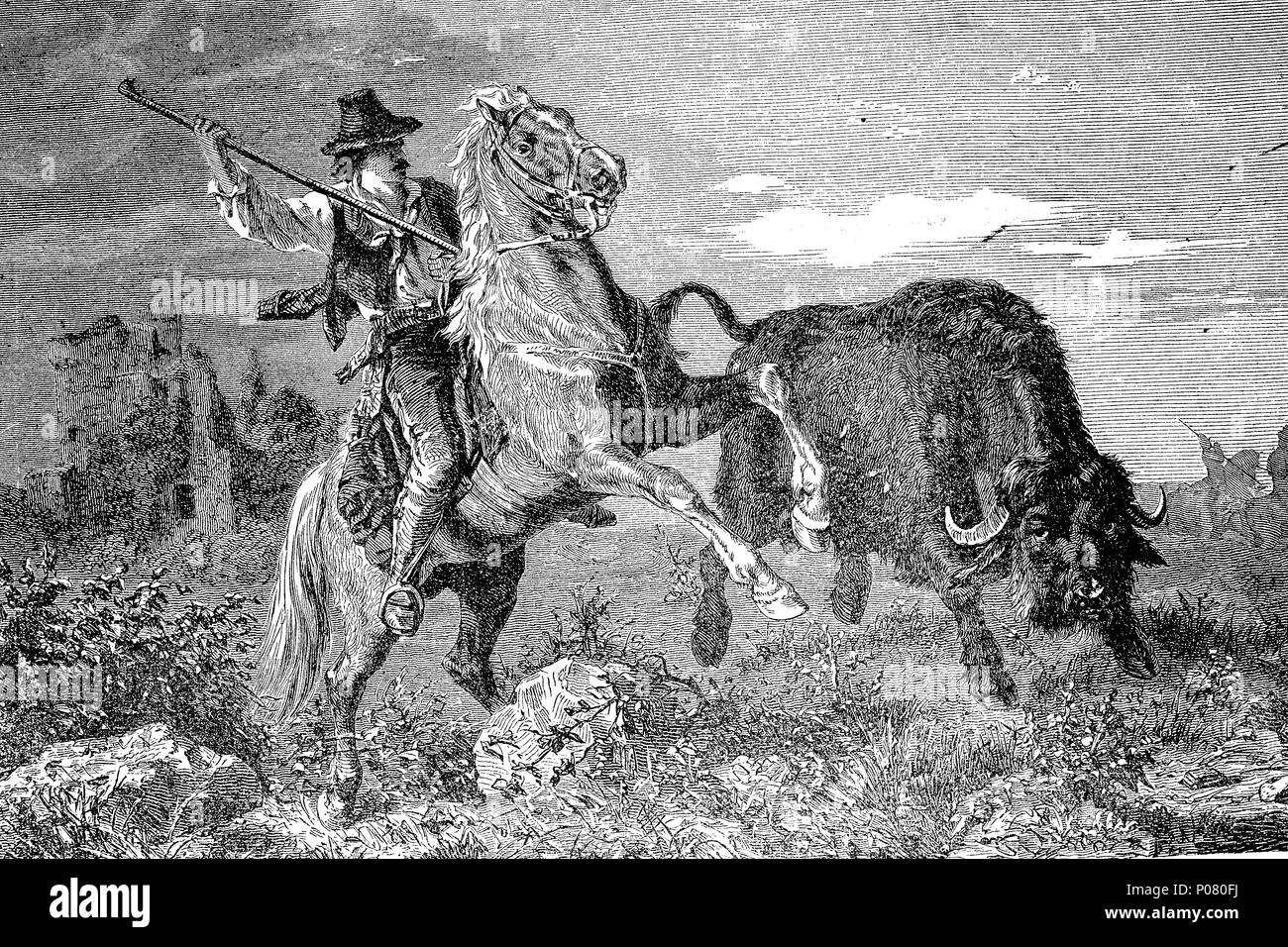 Buffalo illustration hi-res stock photography and images - Alamy