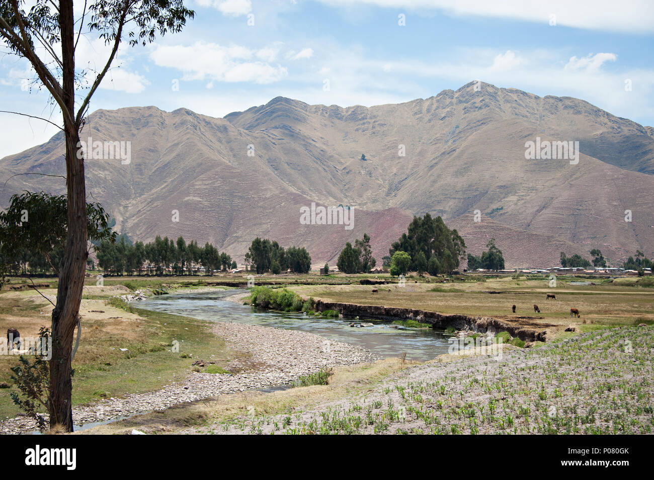A journey on Peru Rail Stock Photo - Alamy