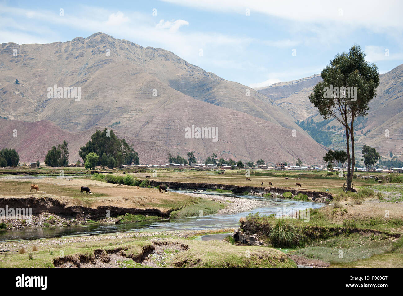A journey on Peru Rail Stock Photo - Alamy