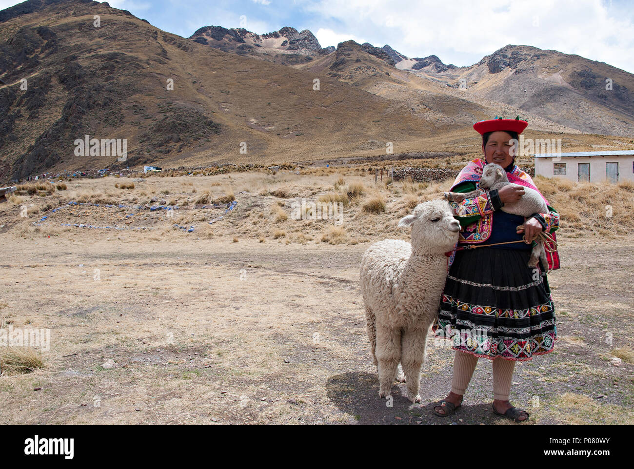 A journey on Peru Rail Stock Photo - Alamy