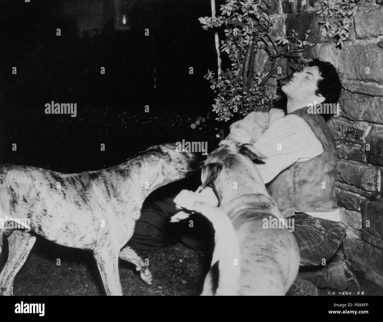 Original Film Title: WUTHERING HEIGHTS. English Title: WUTHERING HEIGHTS. Film Director: WILLIAM ...