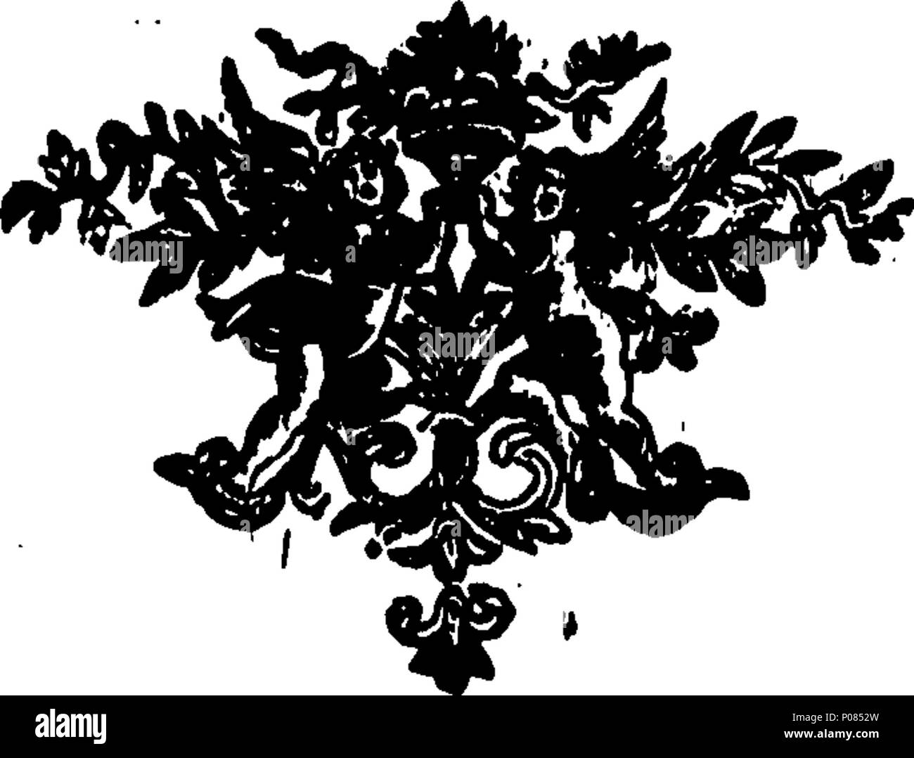 Members letter Black and White Stock Photos & Images - Alamy