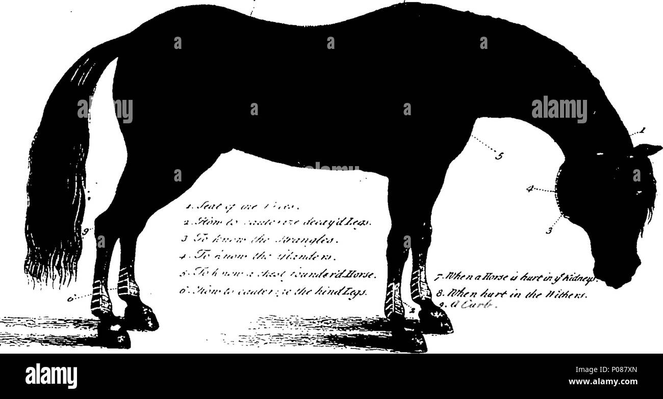 William stables Black and White Stock Photos & Images - Alamy