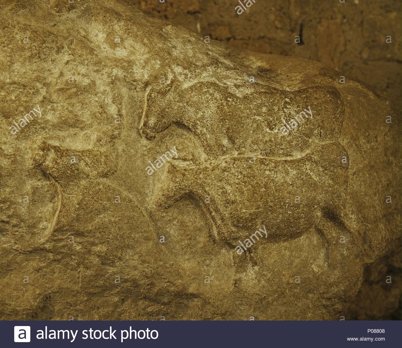 Mesolithic Age Stock Photos & Mesolithic Age Stock Images - Alamy