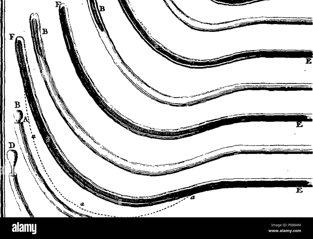 Surgical plate Black and White Stock Photos & Images - Alamy