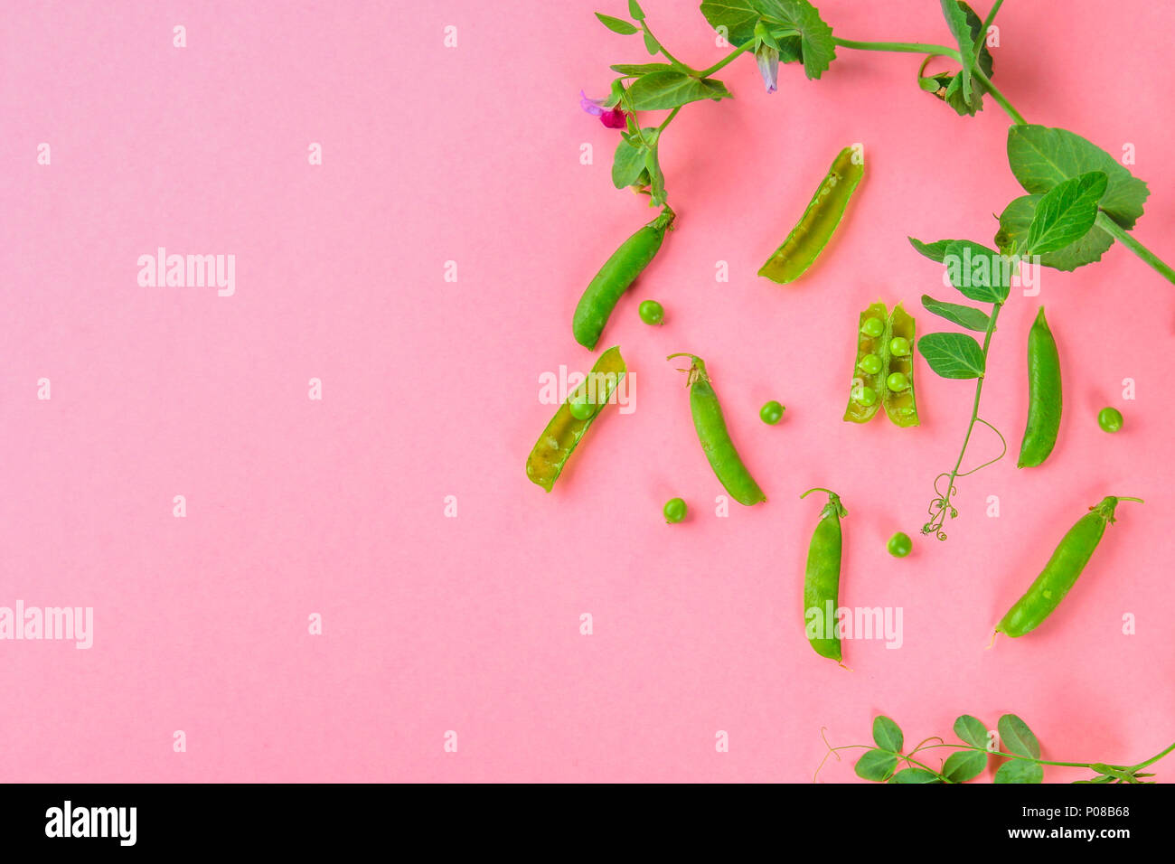 Peas, pods, leaves and pea flowers on a light pastel background. Floral ...