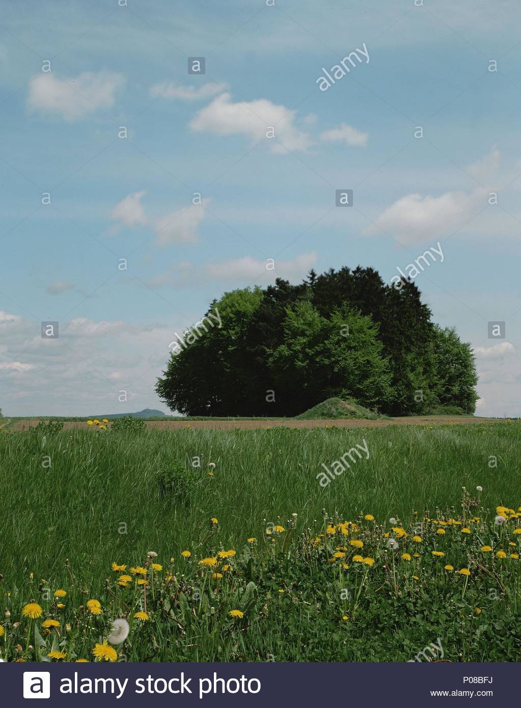Hallstatt Period Stock Photos & Hallstatt Period Stock Images - Alamy