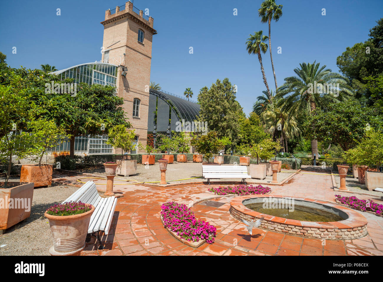 Botanical garden of Valencia Stock Photo - Alamy