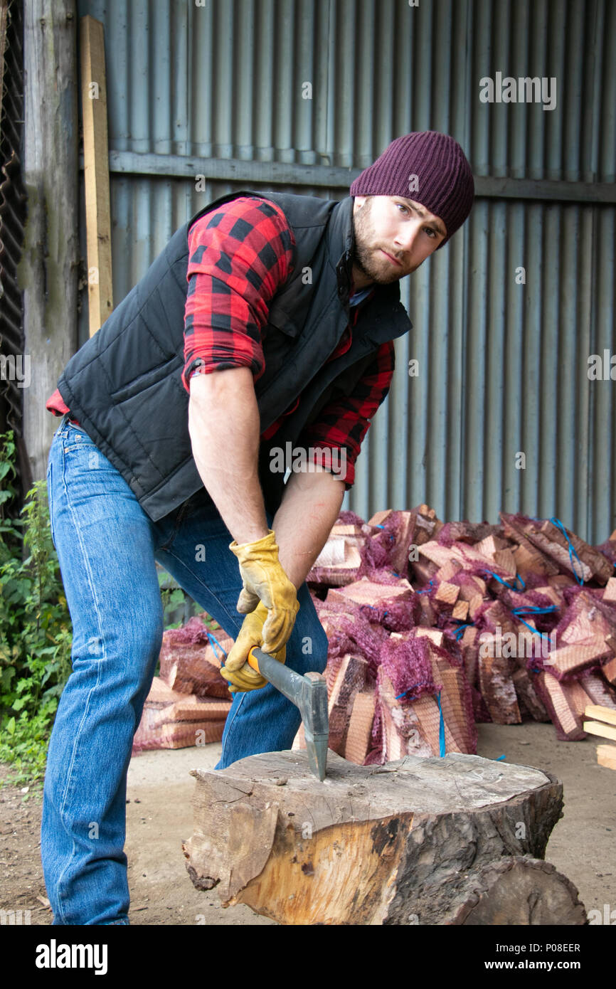 Good looking man in chequered shirt chops wood in at saw mill yard ...