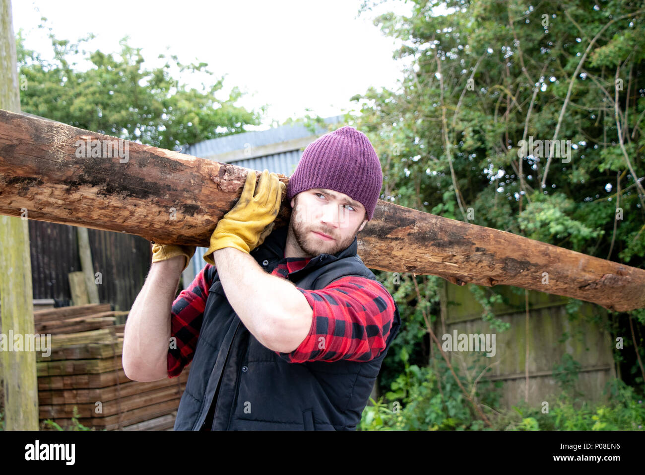 Man carrying log on shoulders hi-res stock photography and images - Alamy