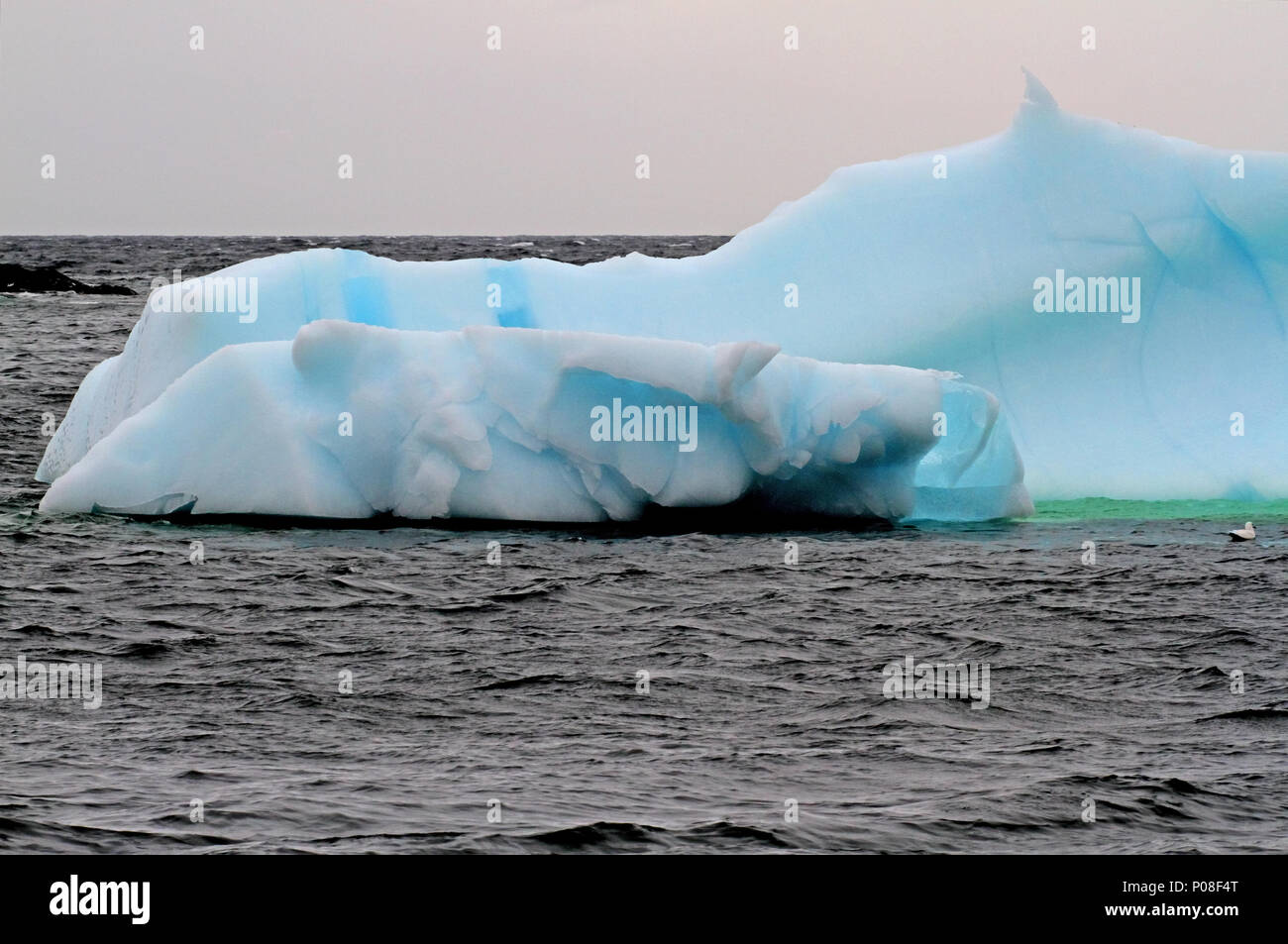Ice berg hi-res stock photography and images - Alamy