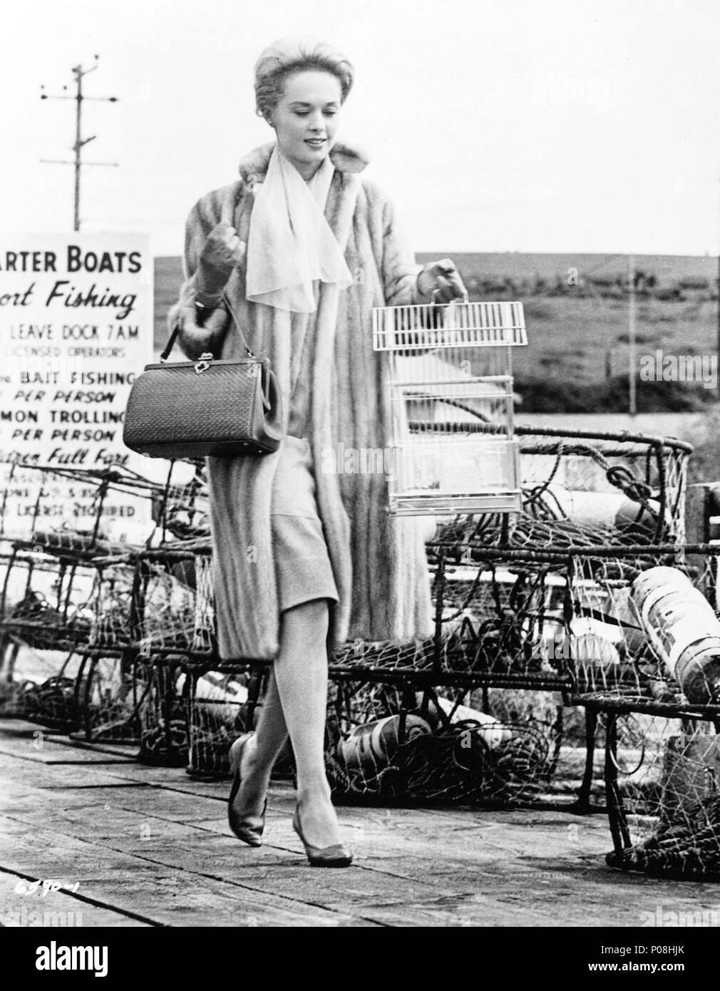 Alfred hitchcock birds scene hi-res stock photography and images - Alamy