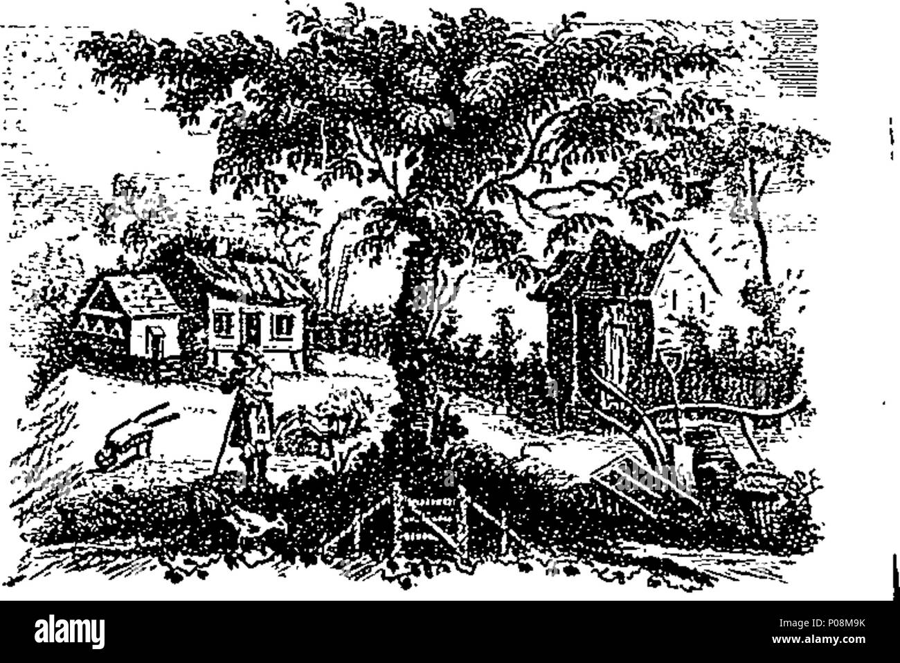 Old sowing methods hi-res stock photography and images - Alamy