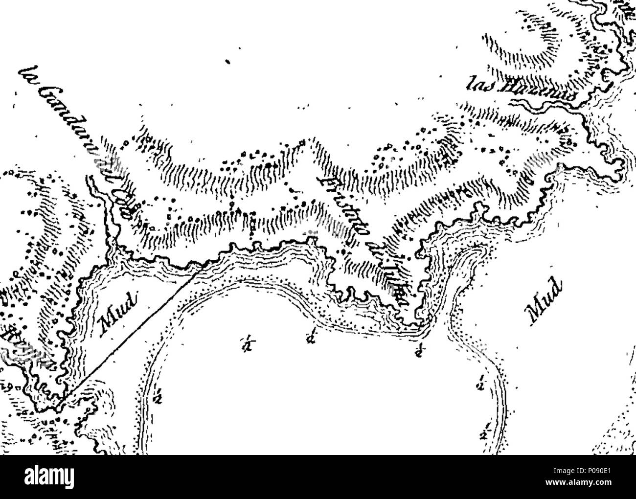 . English: Fleuron from book: A new and general introduction to ...