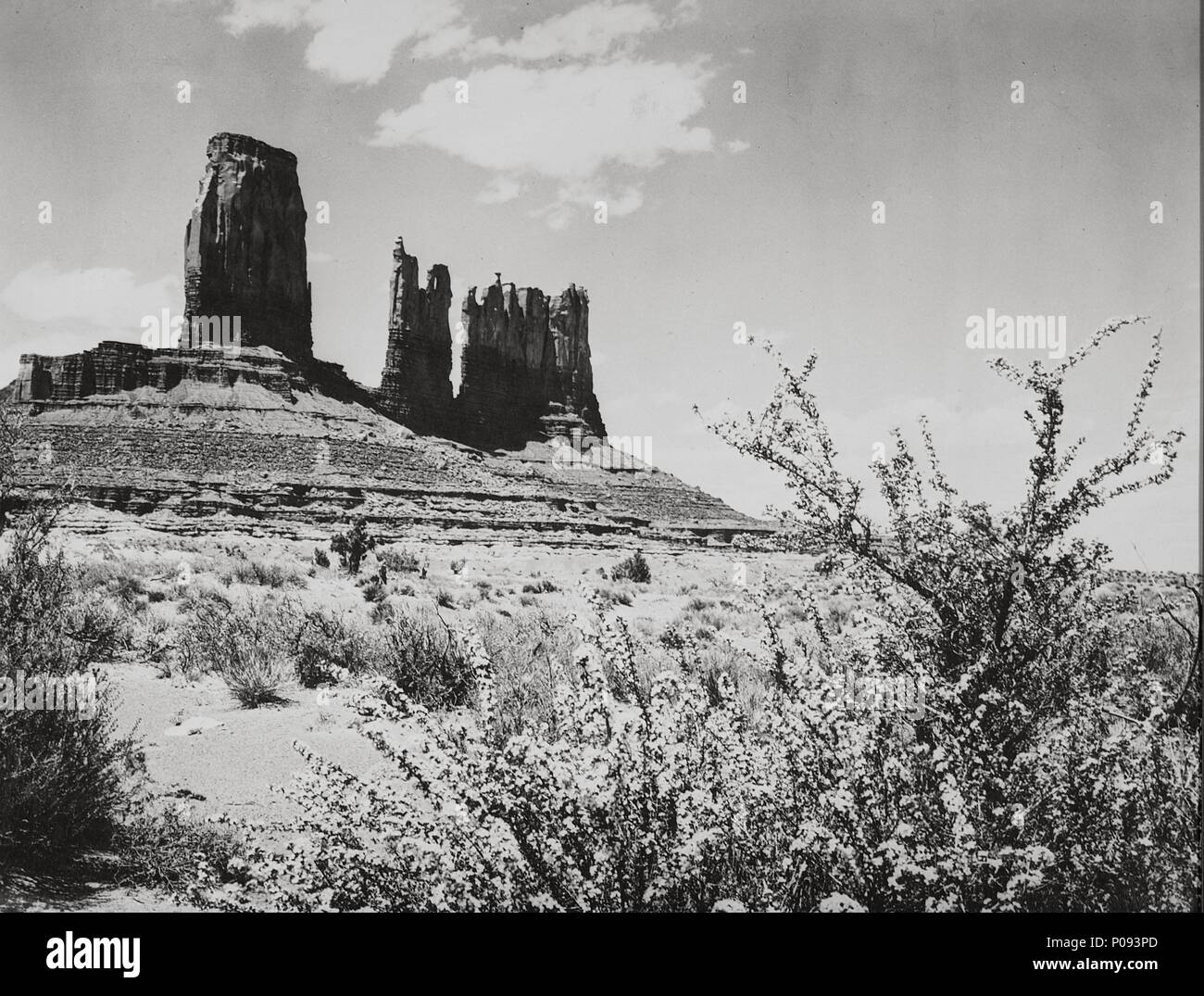 Original Film Title: THE LIVING DESERT. English Title: THE LIVING ...