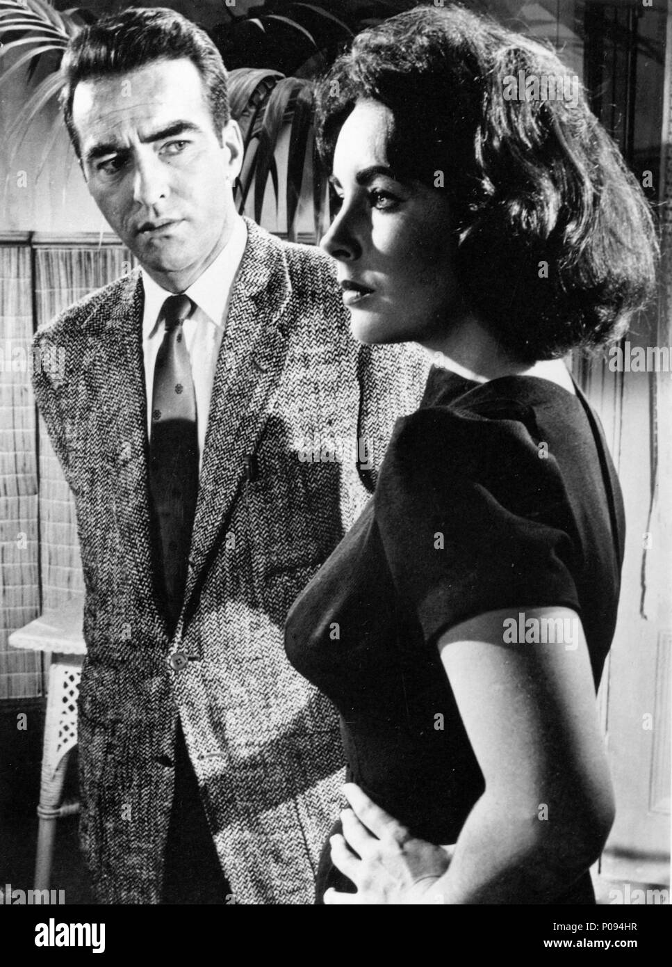 Suddenly Last Summer Movie
