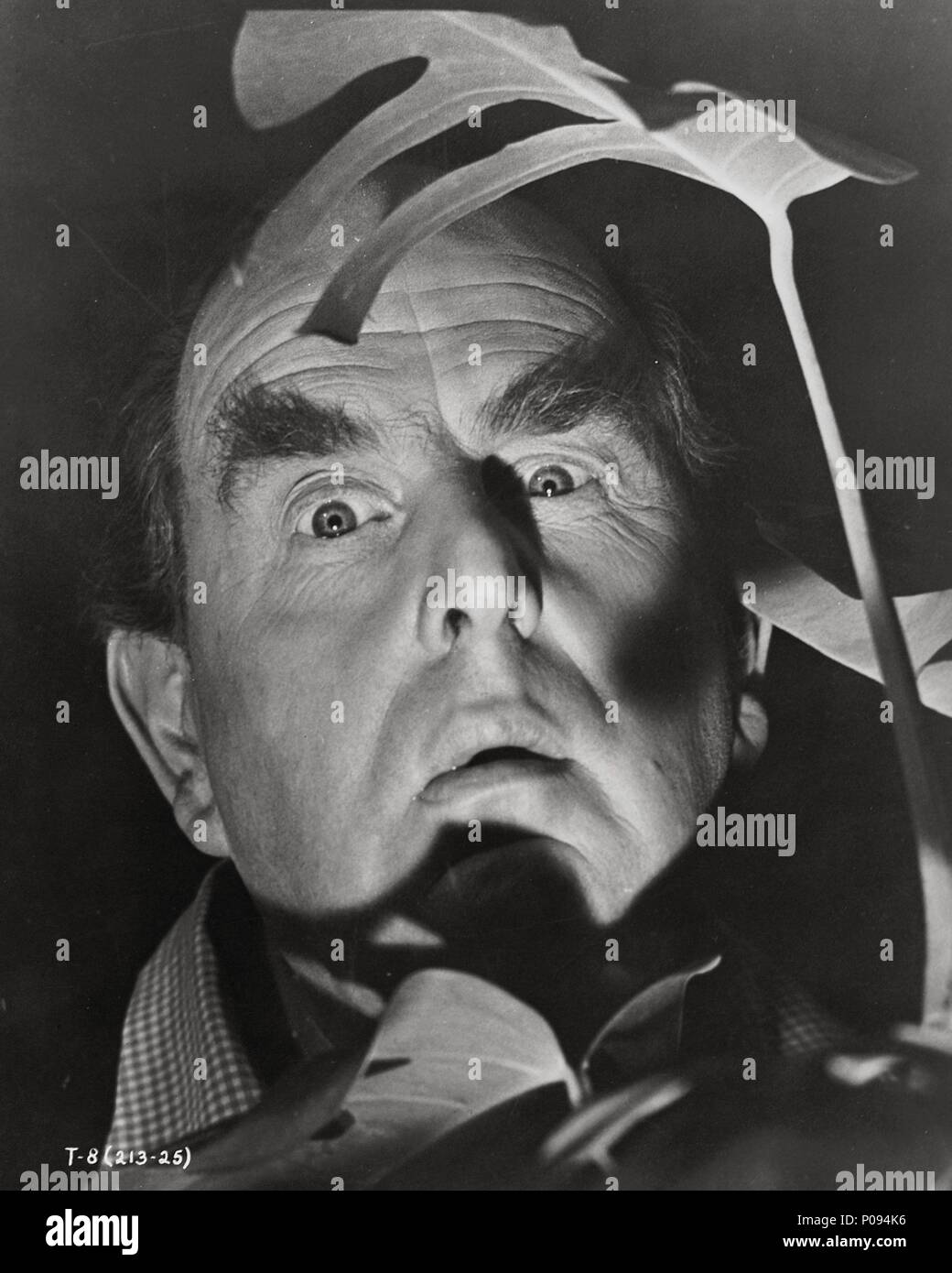 Robert Morley Stock Photos & Robert Morley Stock Images - Alamy