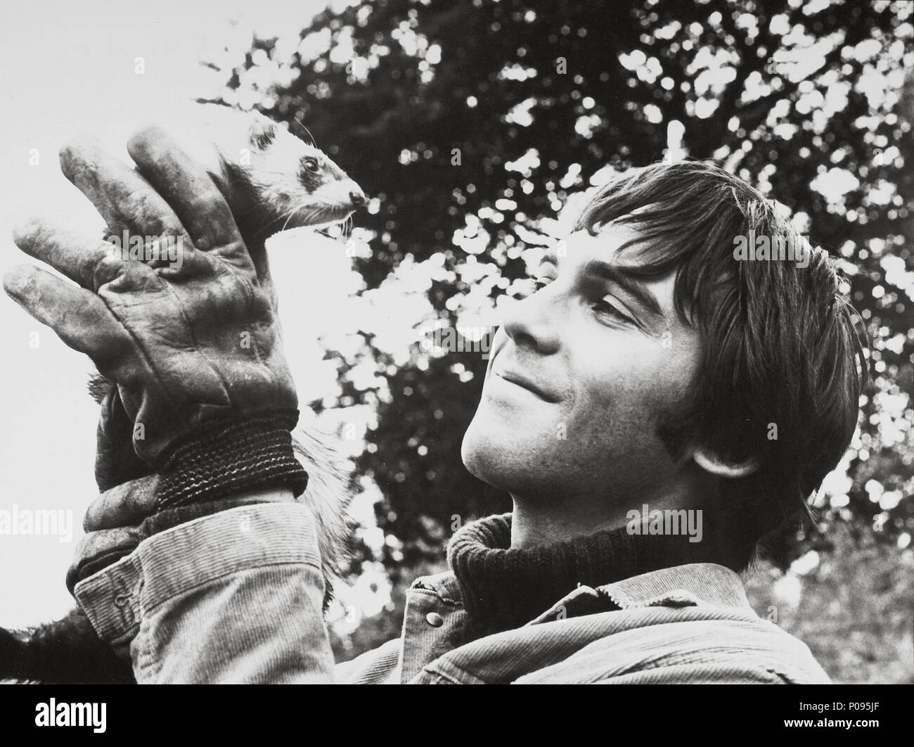 Stuart wilson hi-res stock photography and images - Alamy