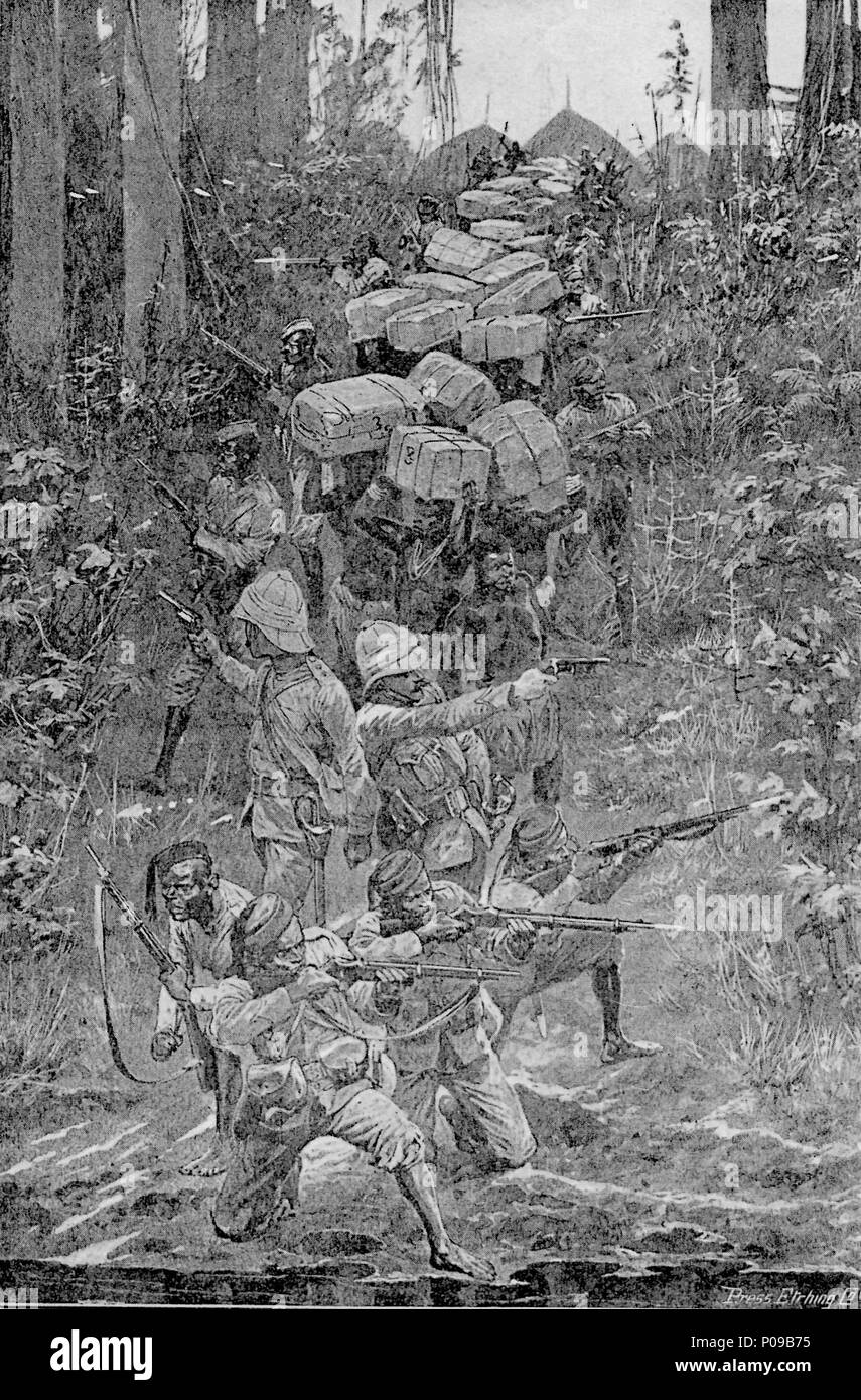 Illustrated forest Black and White Stock Photos & Images - Alamy