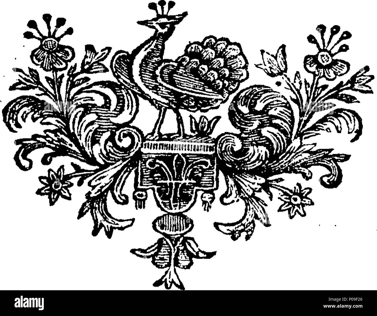 New methods Cut Out Stock Images & Pictures - Alamy