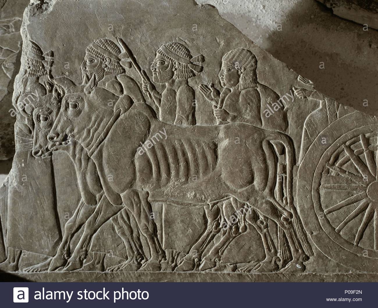 Battle Of Til Tuba Stock Photos & Battle Of Til Tuba Stock Images - Alamy