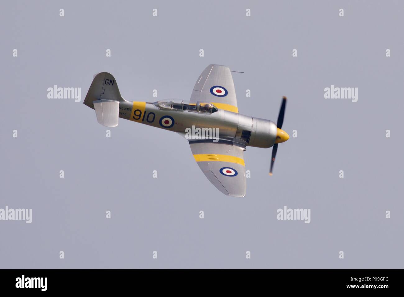 1951 Hawker Sea Fury from The Fighter Collection taking to the sky at ...