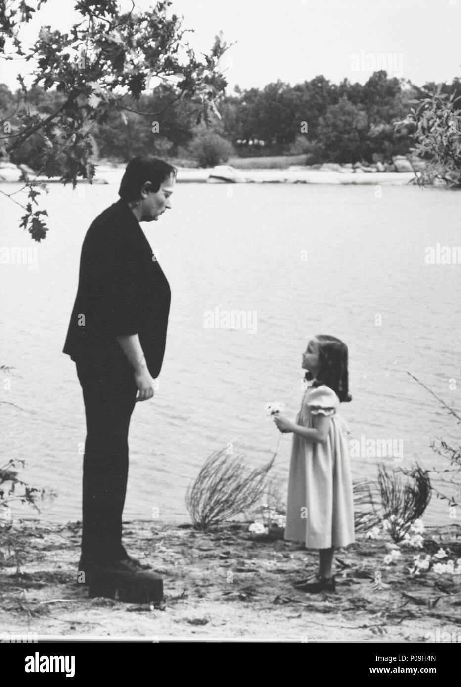 Original Film Title: EL ESPIRITU DE LA COLMENA. English Title: THE ...