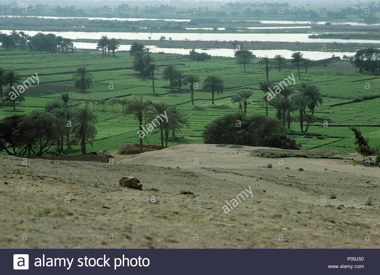 Tombs Of Beni Hassan Stock Photos & Tombs Of Beni Hassan Stock Images ...