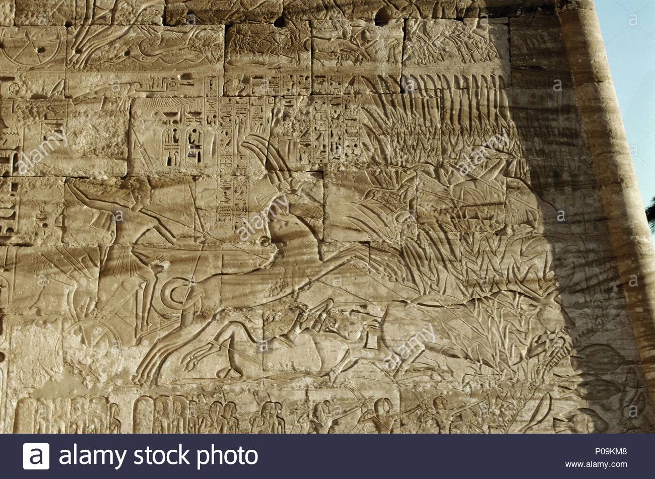 Bull Carts Stock Photos & Bull Carts Stock Images - Alamy