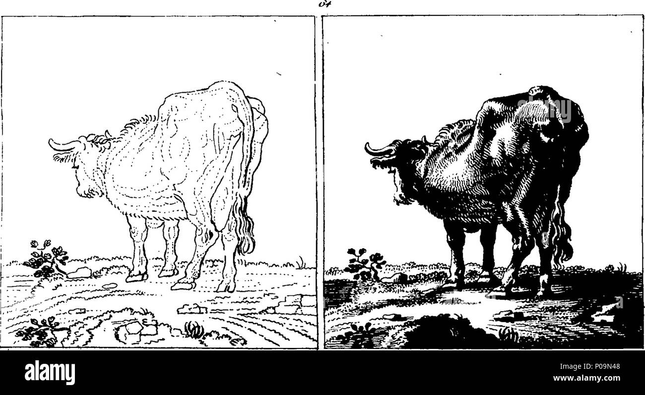 Examples Of Variety In Art