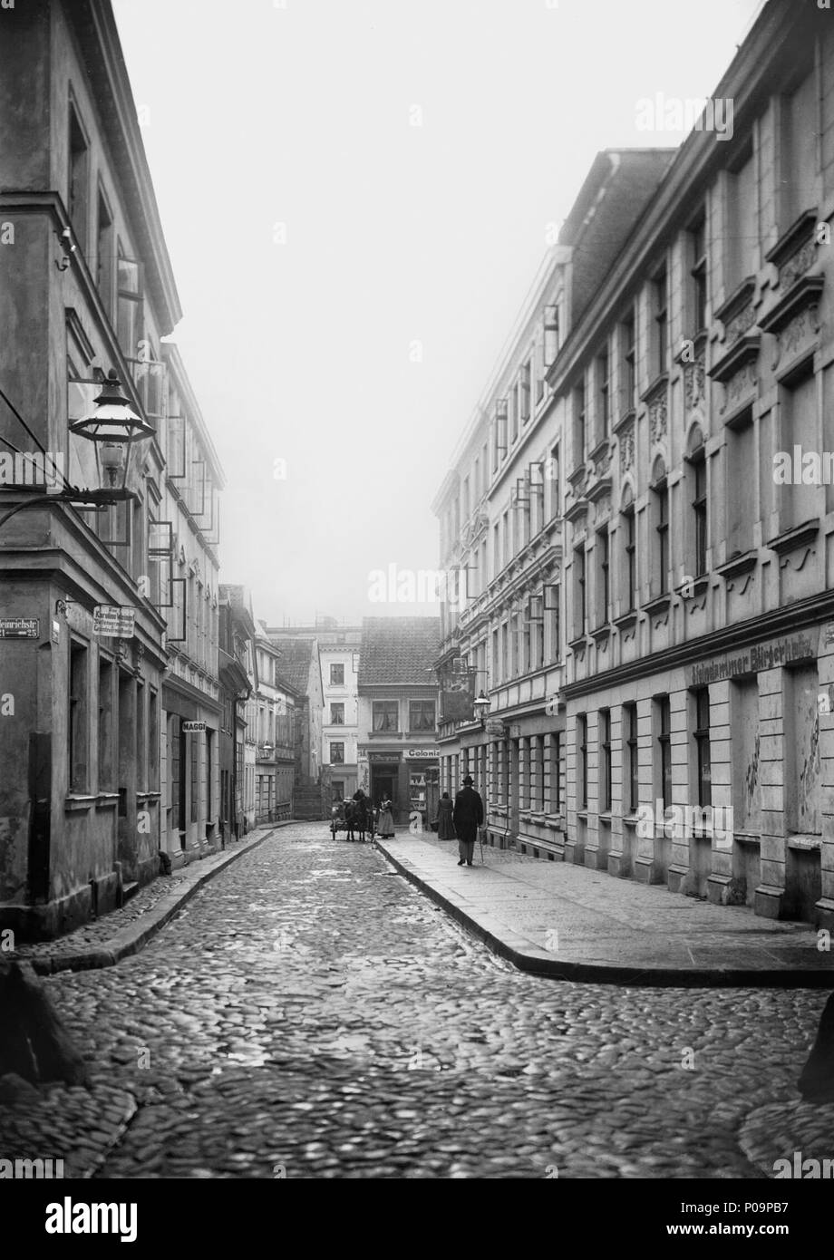 Insect identification entomology classification Black and White Stock ...