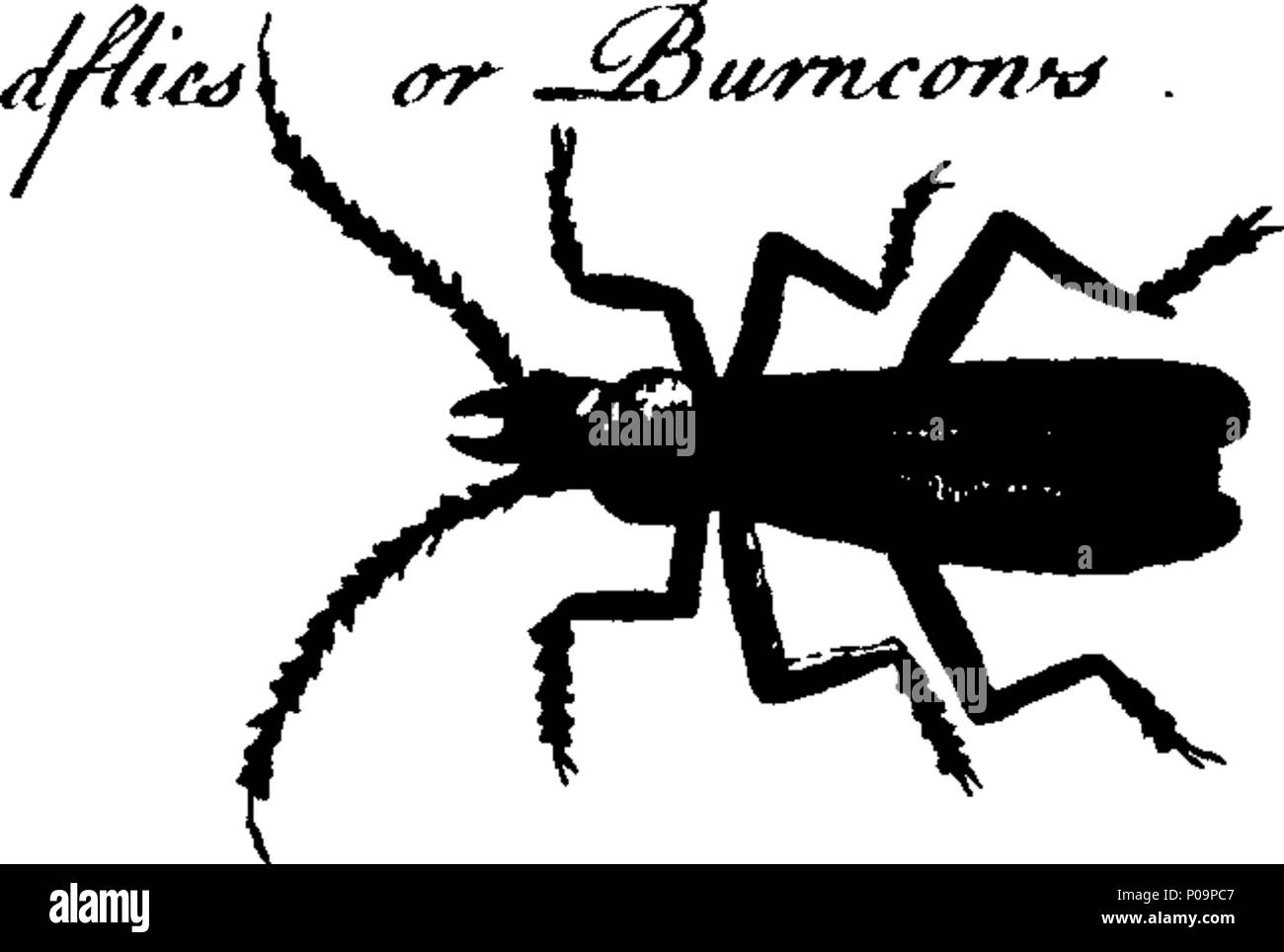 Minerals classification Black and White Stock Photos & Images - Alamy