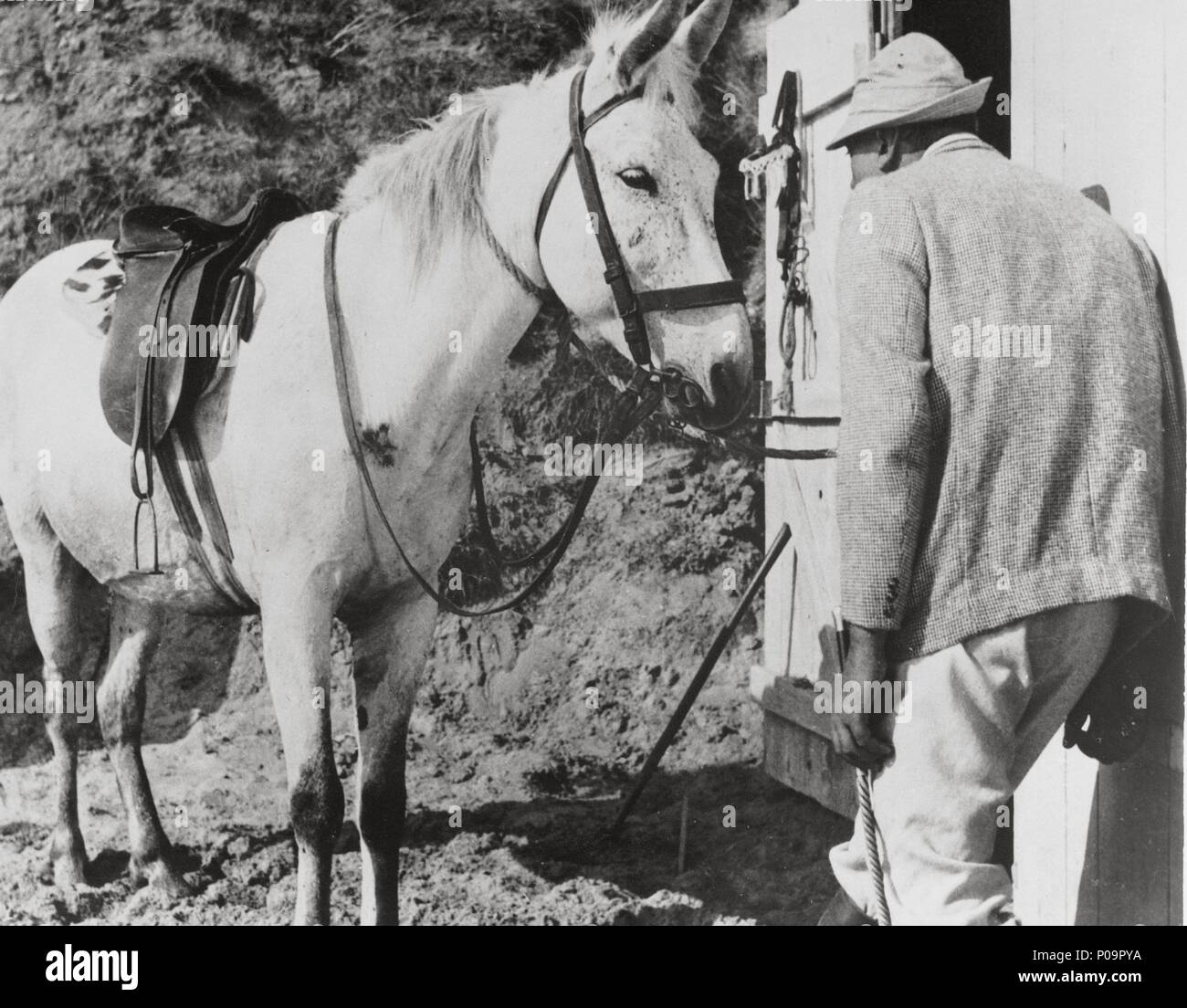 Original Film Title: LES VACANCES DE MONSIEUR HULOT. English Title: MR ...