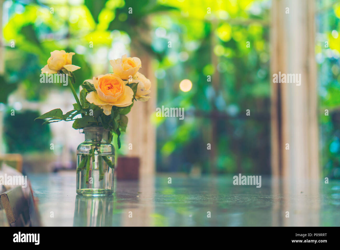 decoration living room interior style green eco environmental with ...