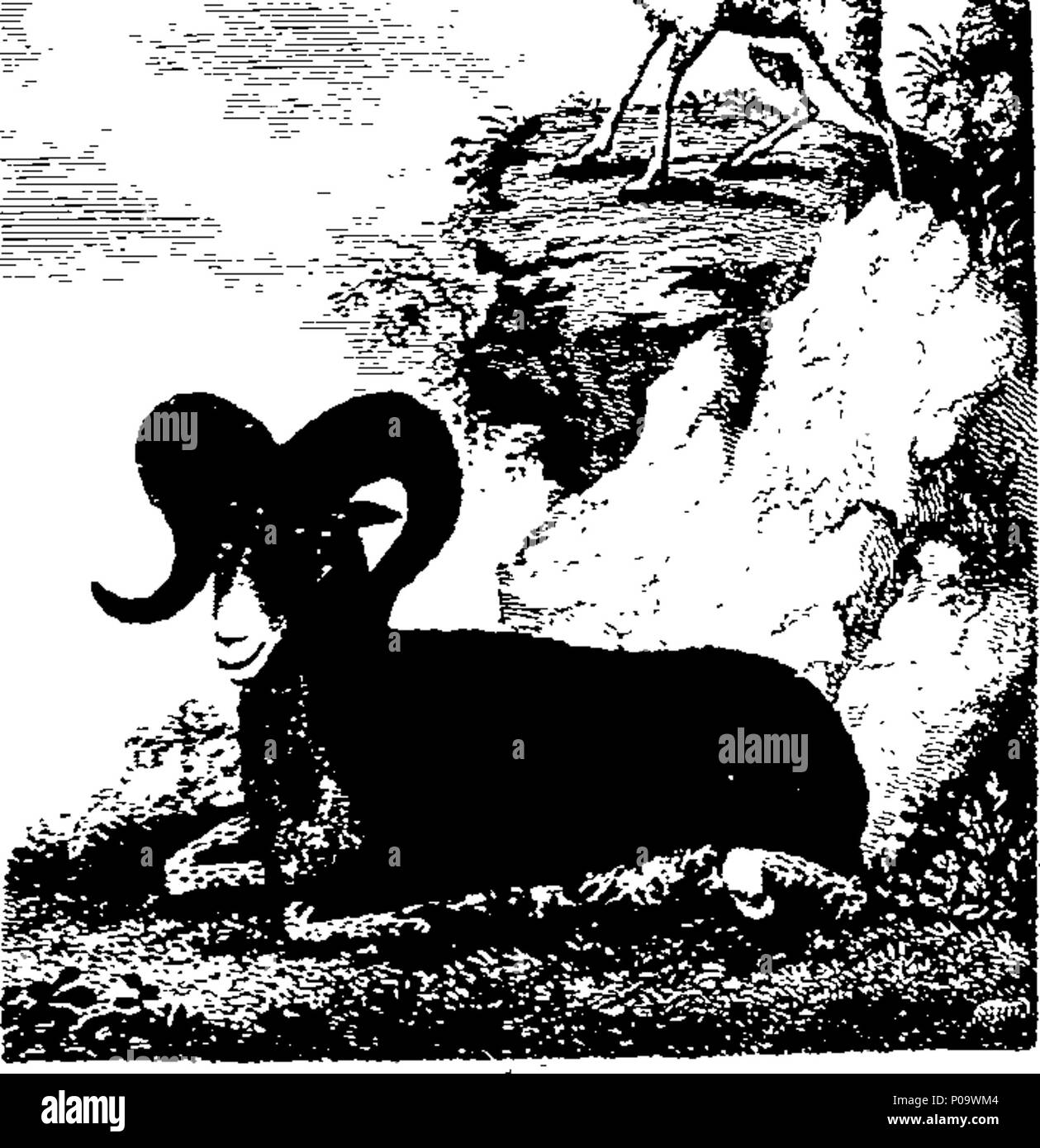 Tartar hordes hi-res stock photography and images - Alamy