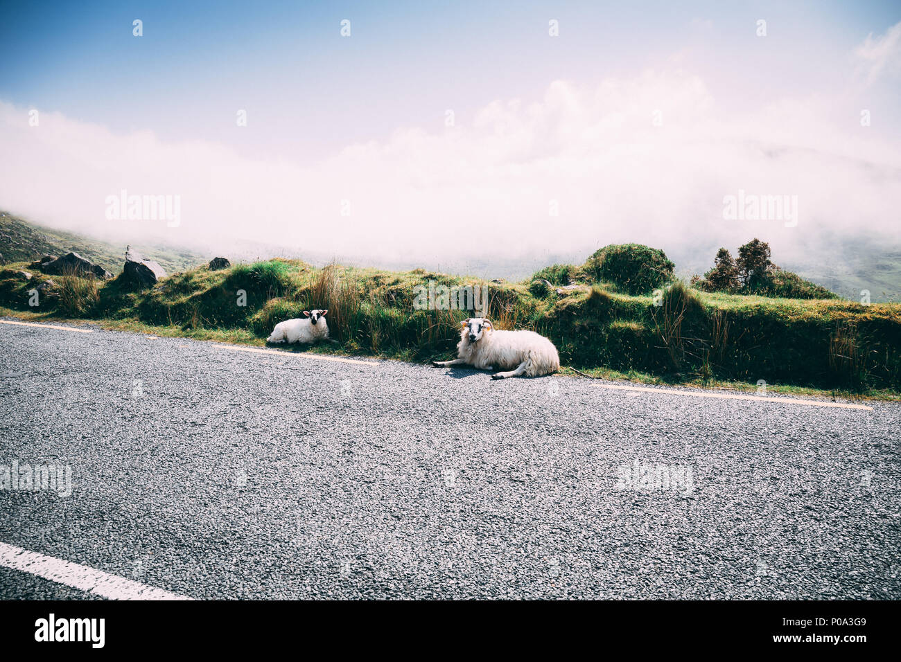 Ireland county kerry dingle peninsula conor pass hi-res stock ...