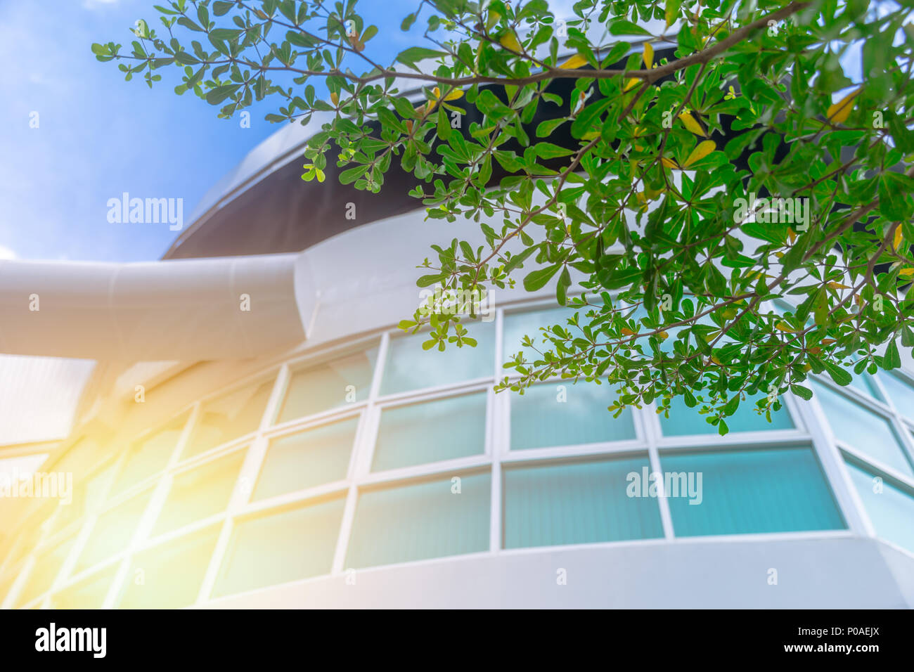 office windows green tree eco building to protect heat from sun uv ...