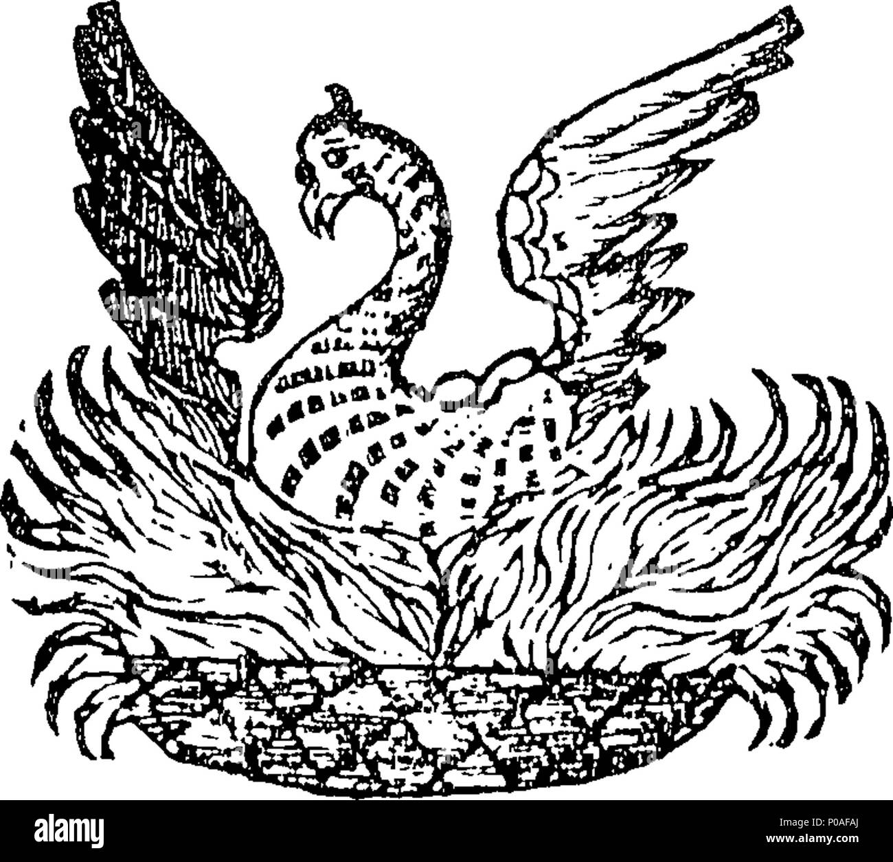 Kings according Black and White Stock Photos & Images - Alamy