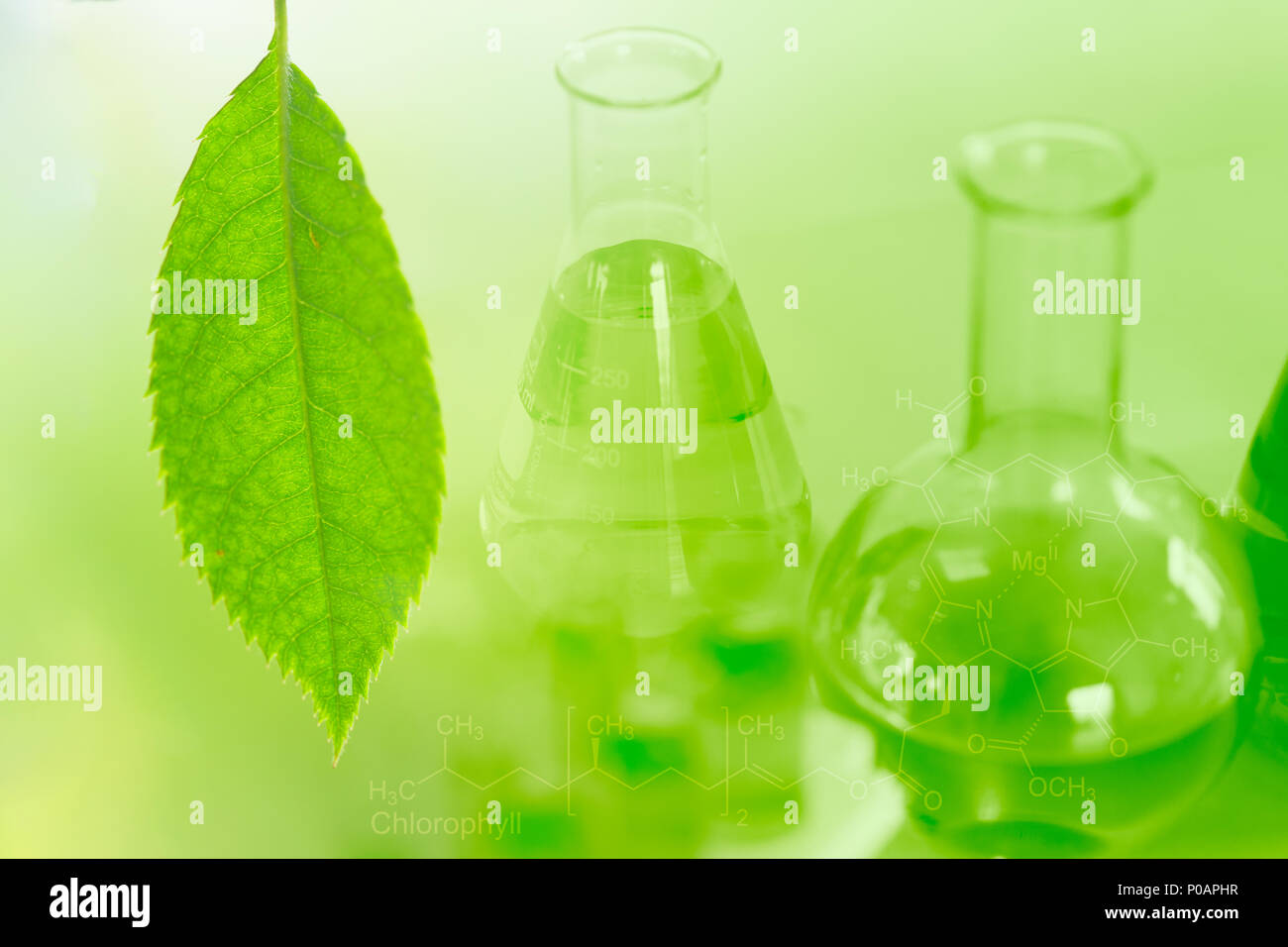 Bio fuel technology hi-res stock photography and images - Alamy