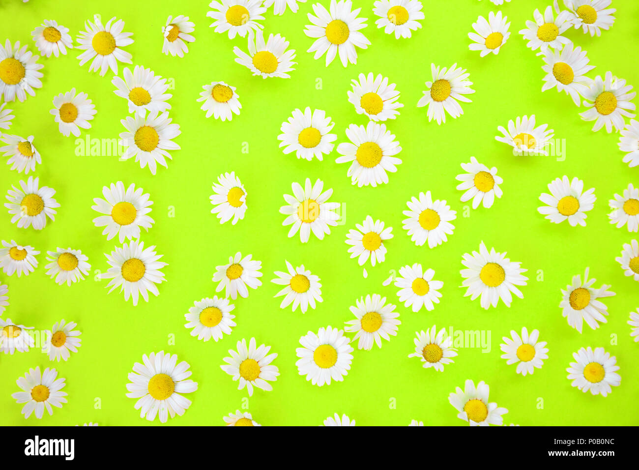 Neon daisy hi-res stock photography and images - Alamy