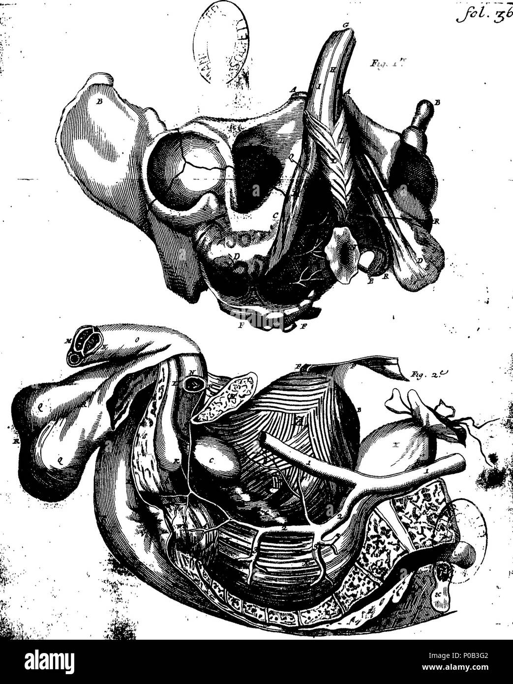 . English: Fleuron from book: A parallel of the different methods of ...