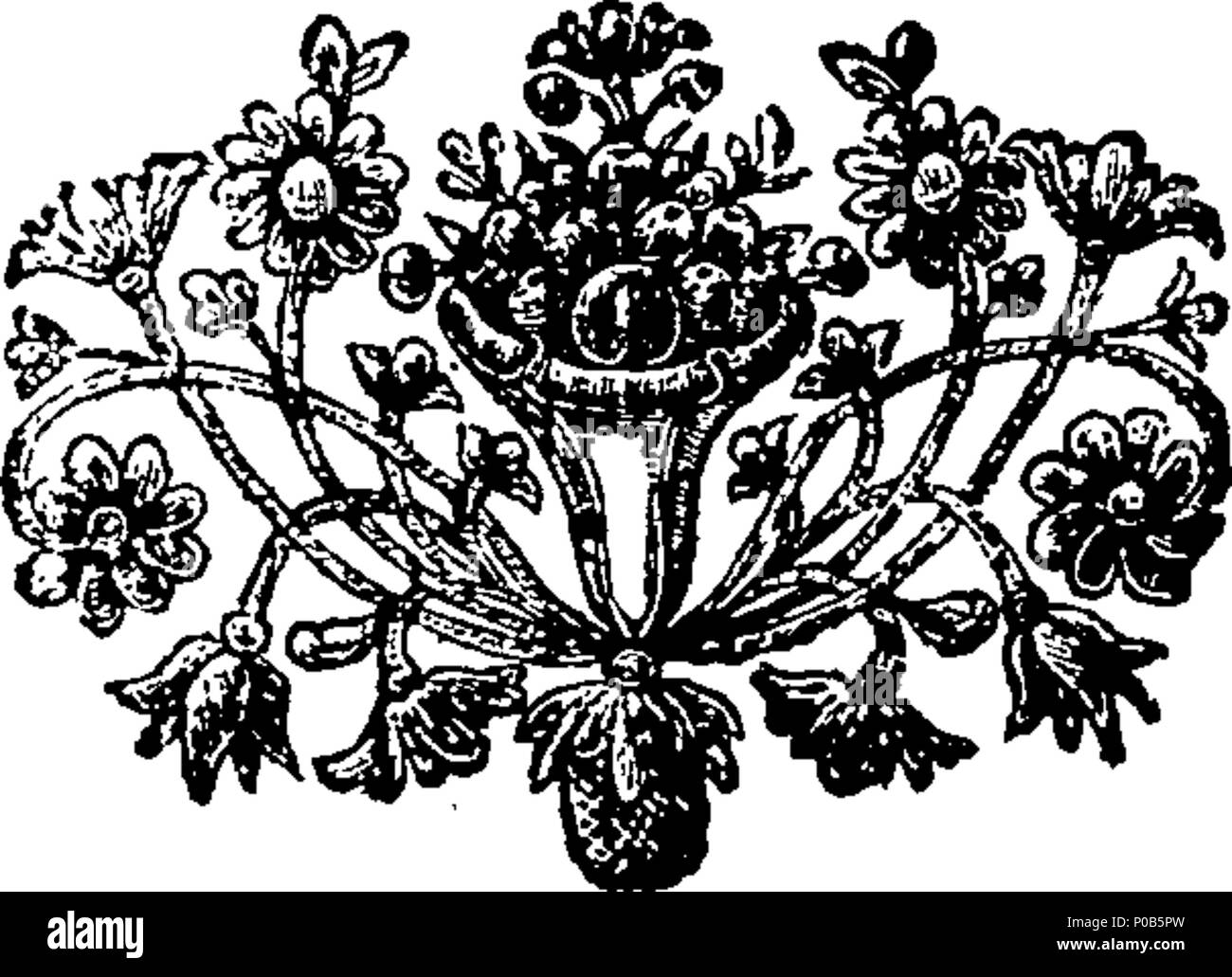 . English: Fleuron from book: An anatomical exposition of the structure ...