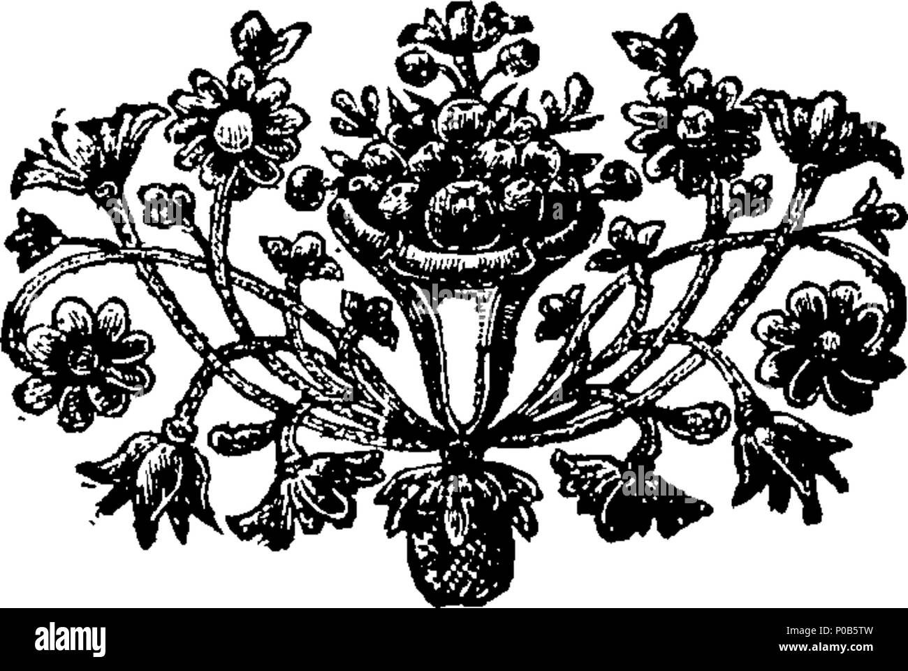 . English: Fleuron from book: An anatomical exposition of the structure ...
