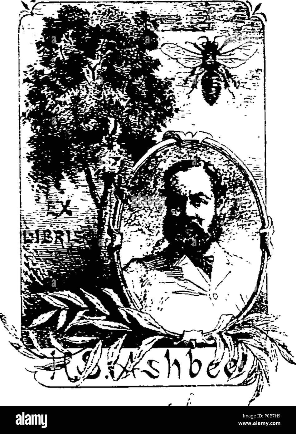 George Bellamy Stock Photos & George Bellamy Stock Images - Alamy