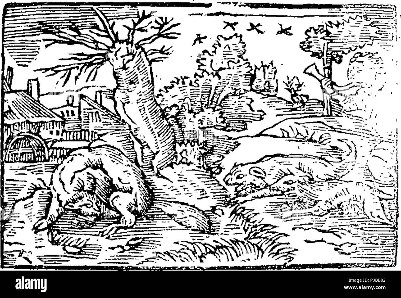 Aesopian Black and White Stock Photos & Images - Alamy